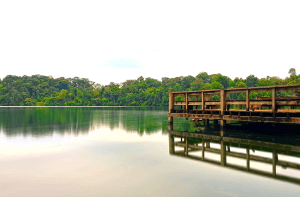 Boeng Yeak Laom: Discover 1st Tranquil Oasis Of Ratanakiri